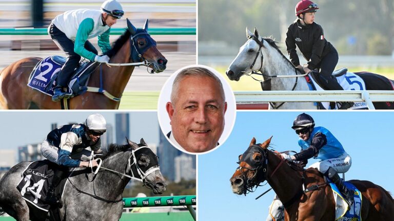 2025 Melbourne Cup runner-by-runner form analysis and tips