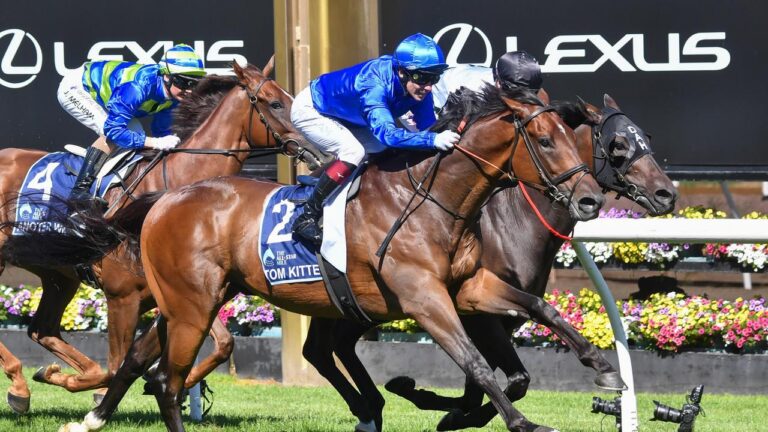 Freedmans have Kitten purring ahead of step up to 2000m - Punters