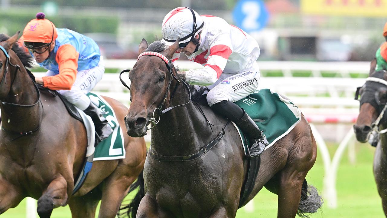 Owner to race horse in NSW wearing famous NRL colours