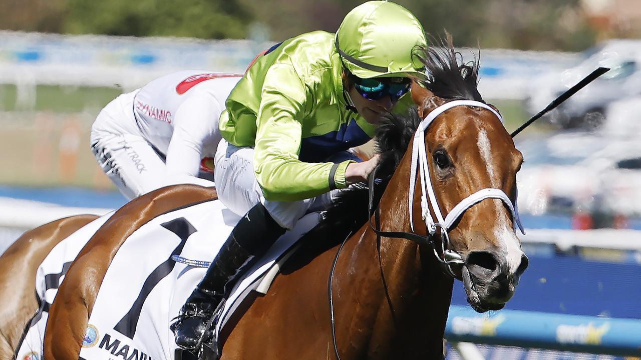 Stretan Angel set to unleash in $1m Meteorite