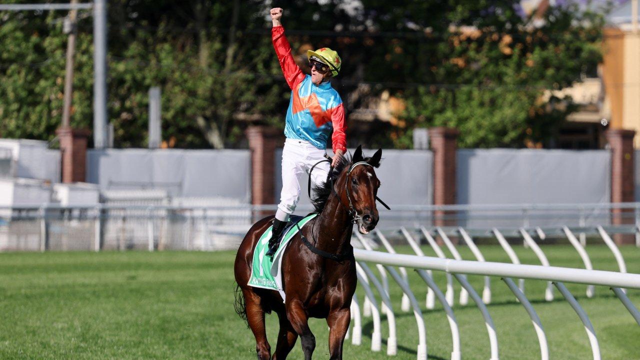 Ka Ying Rising vs Black Caviar: Chat GPT settles the debate