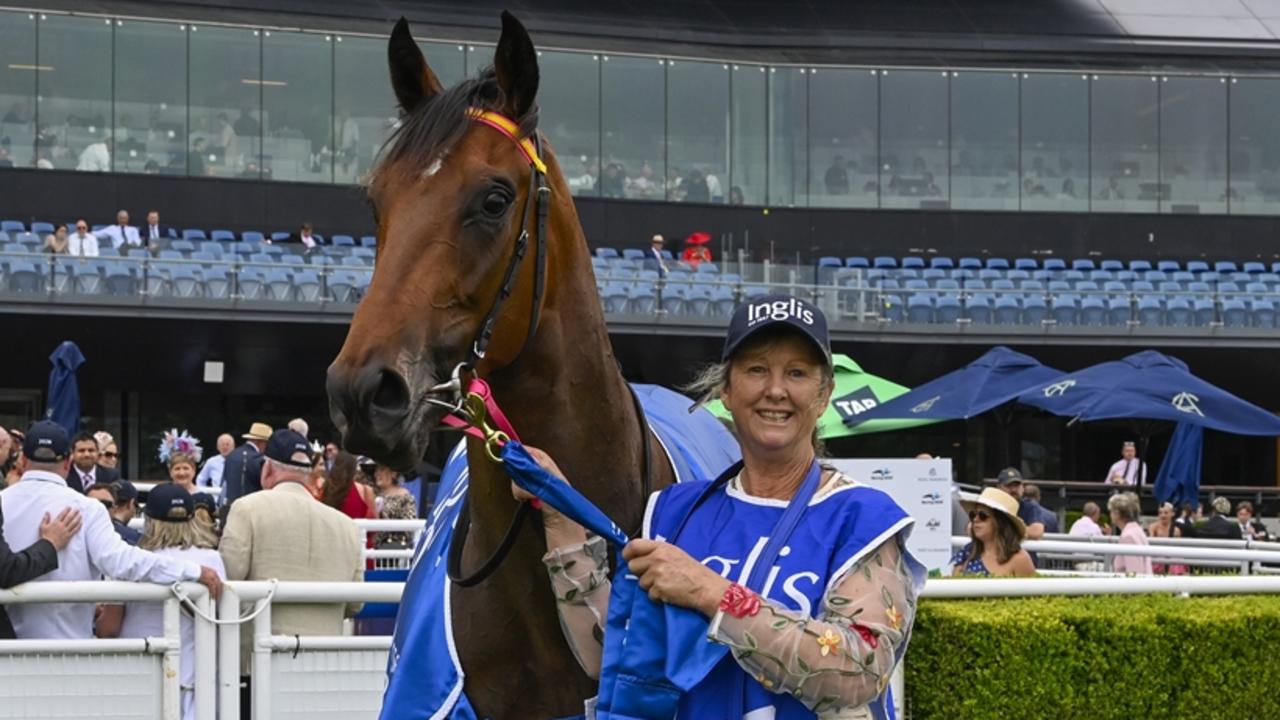 The $1250 purchase who has already banked $231k as a 2YO