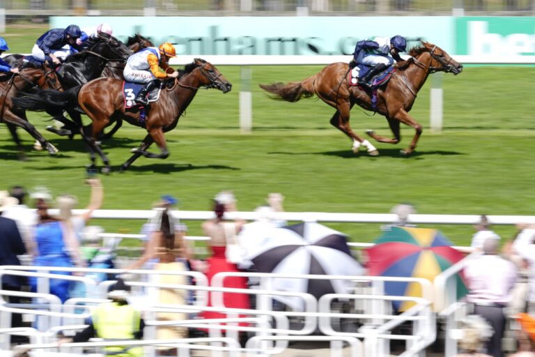 Flemington trainer lands exciting Royal Ascot performer