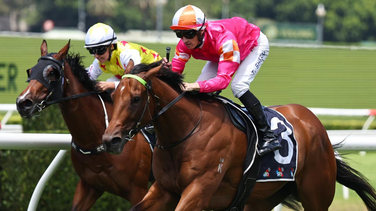 Oui Oui Oui stays perfect this campaign with Midway win