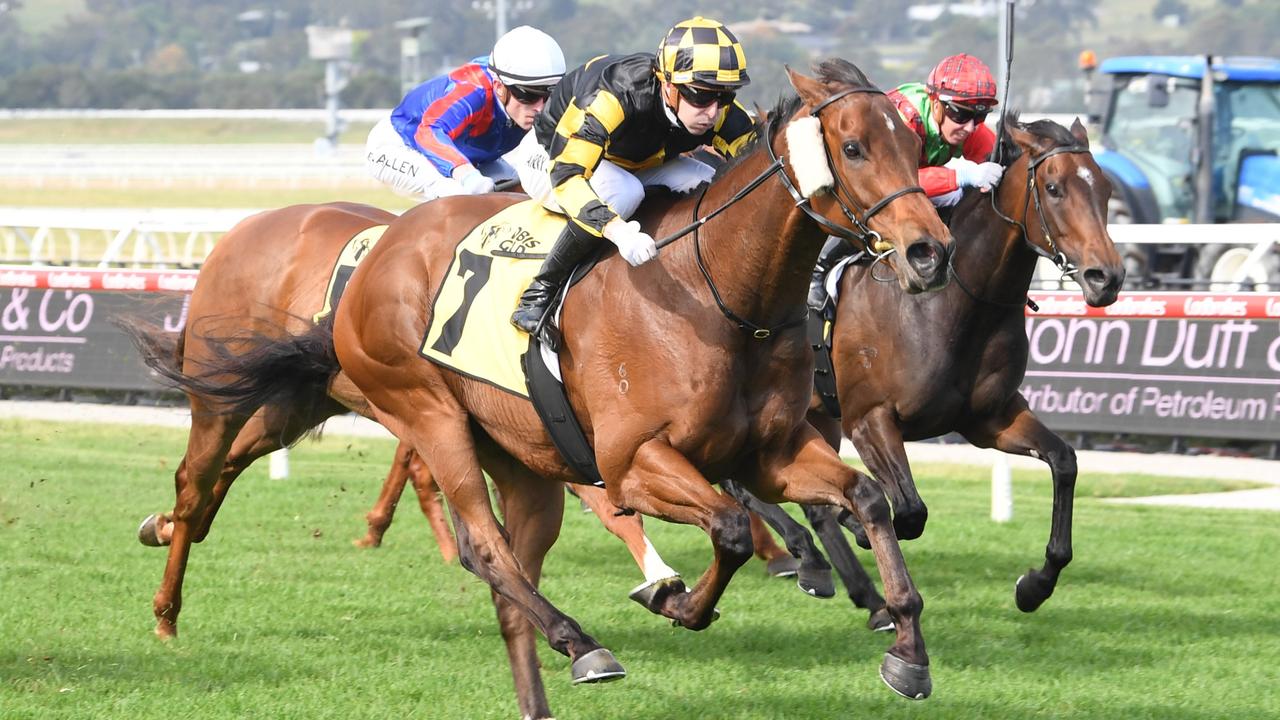 ‘He's gone to a new level': Persian Spirit to justify short quote