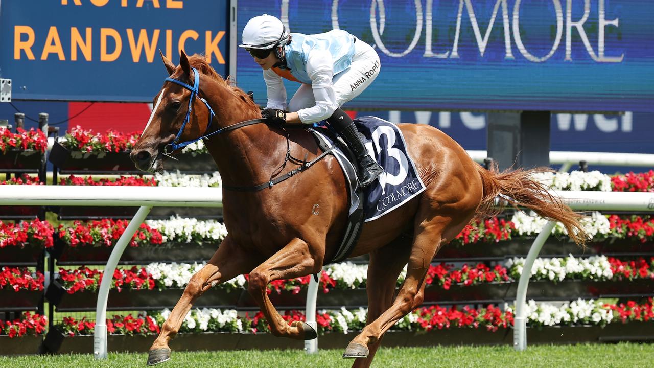 David Payne eyes Queensland Derby for exciting Hereward