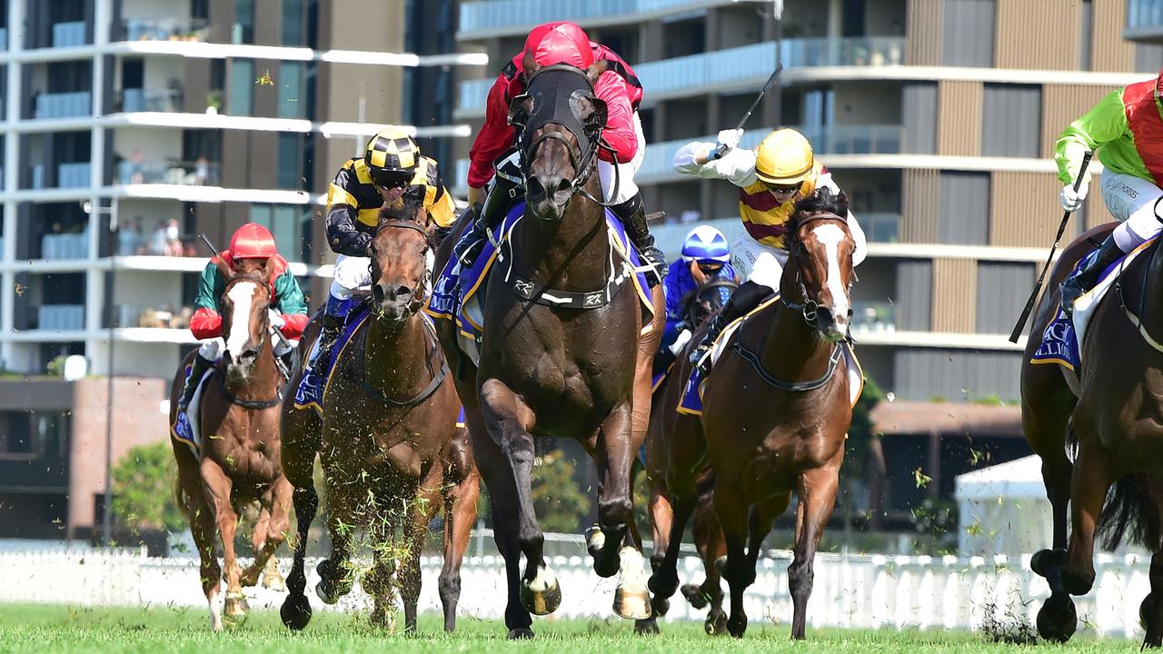 King makes most of royal opportunity on Queen