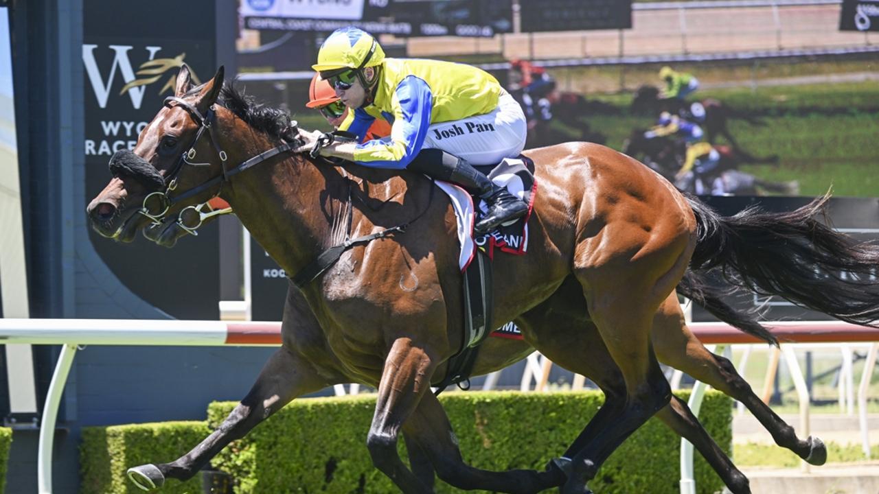 Matt Dale's tight-track play pays off as No Drama salutes