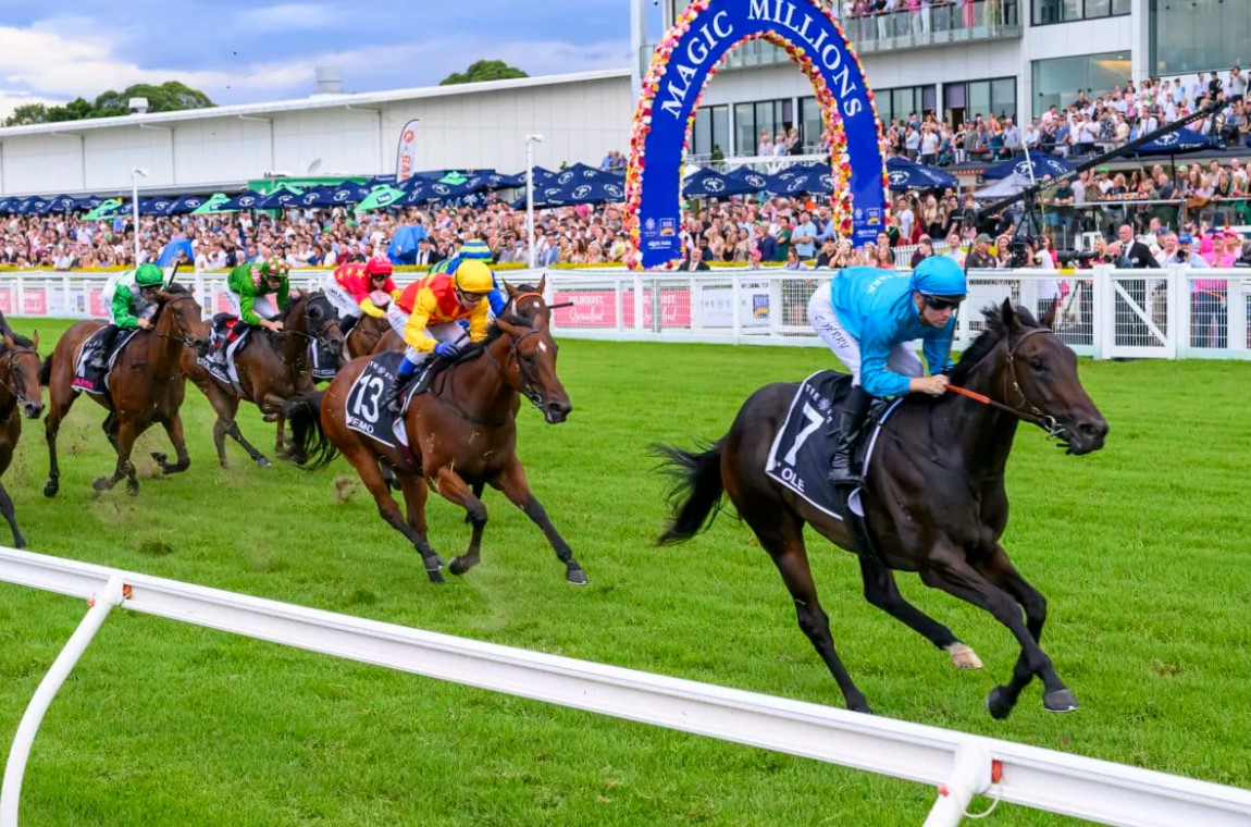 Magic Millions 2YO Classic Odds - 2026