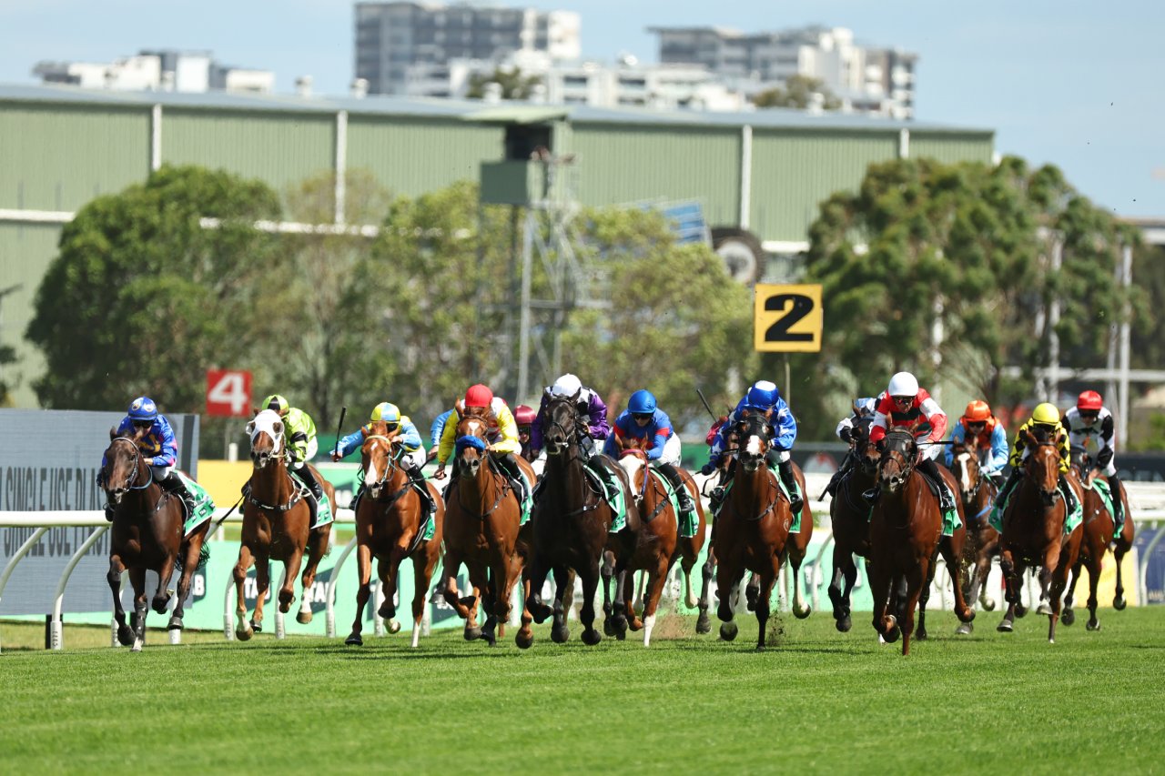 Tips and race-by-race preview for January Cup day at Rosehill