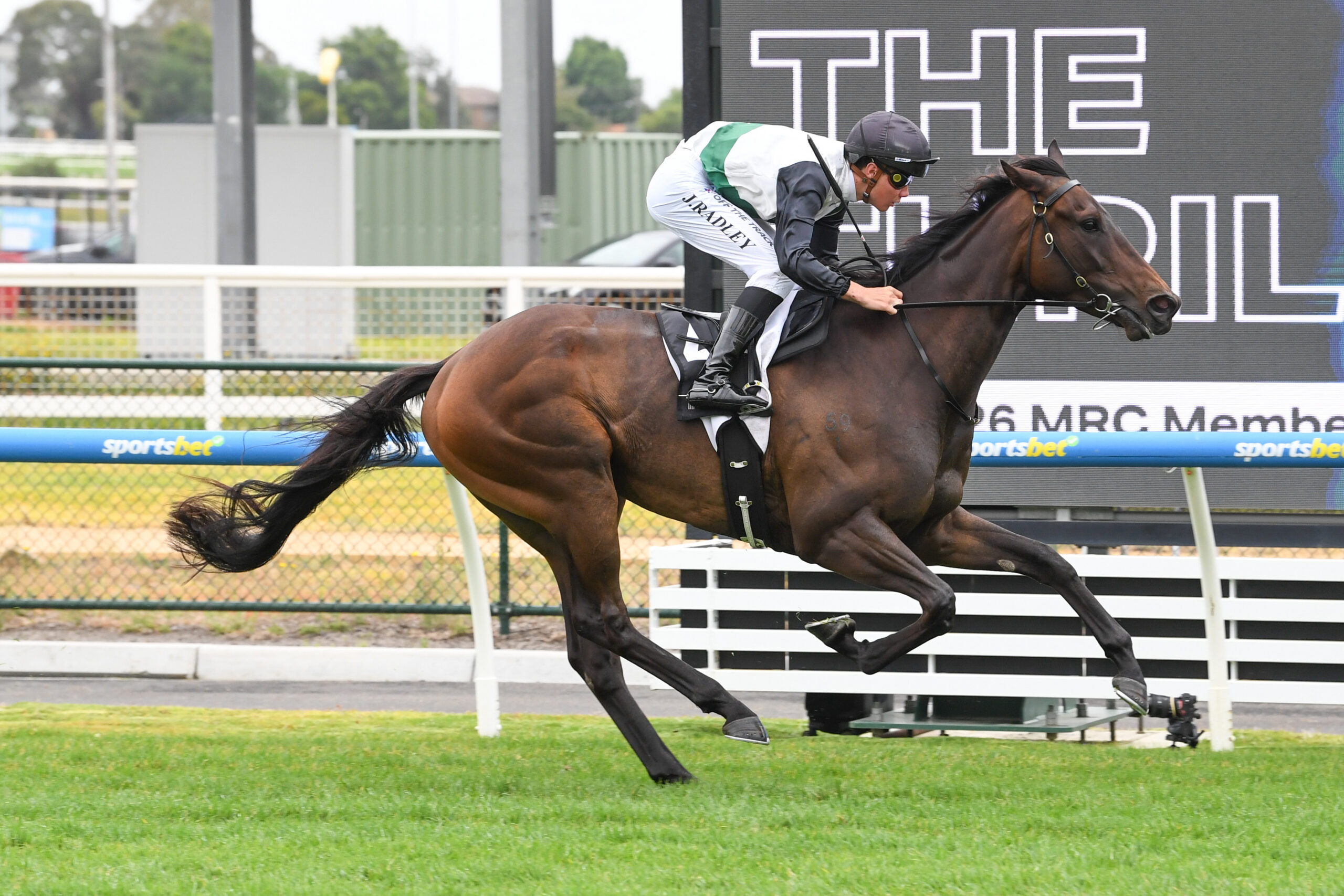 Caulfield preview and tips: Saturday, January 24