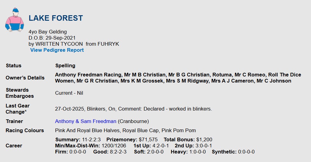 One-time Victorian boom horse up for sale online