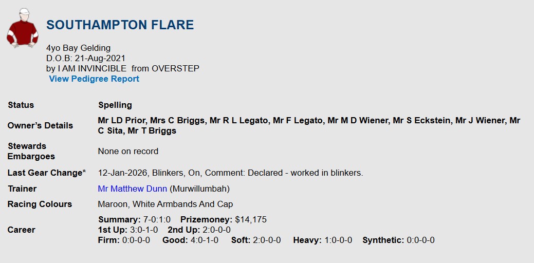 One-time Victorian boom horse up for sale online