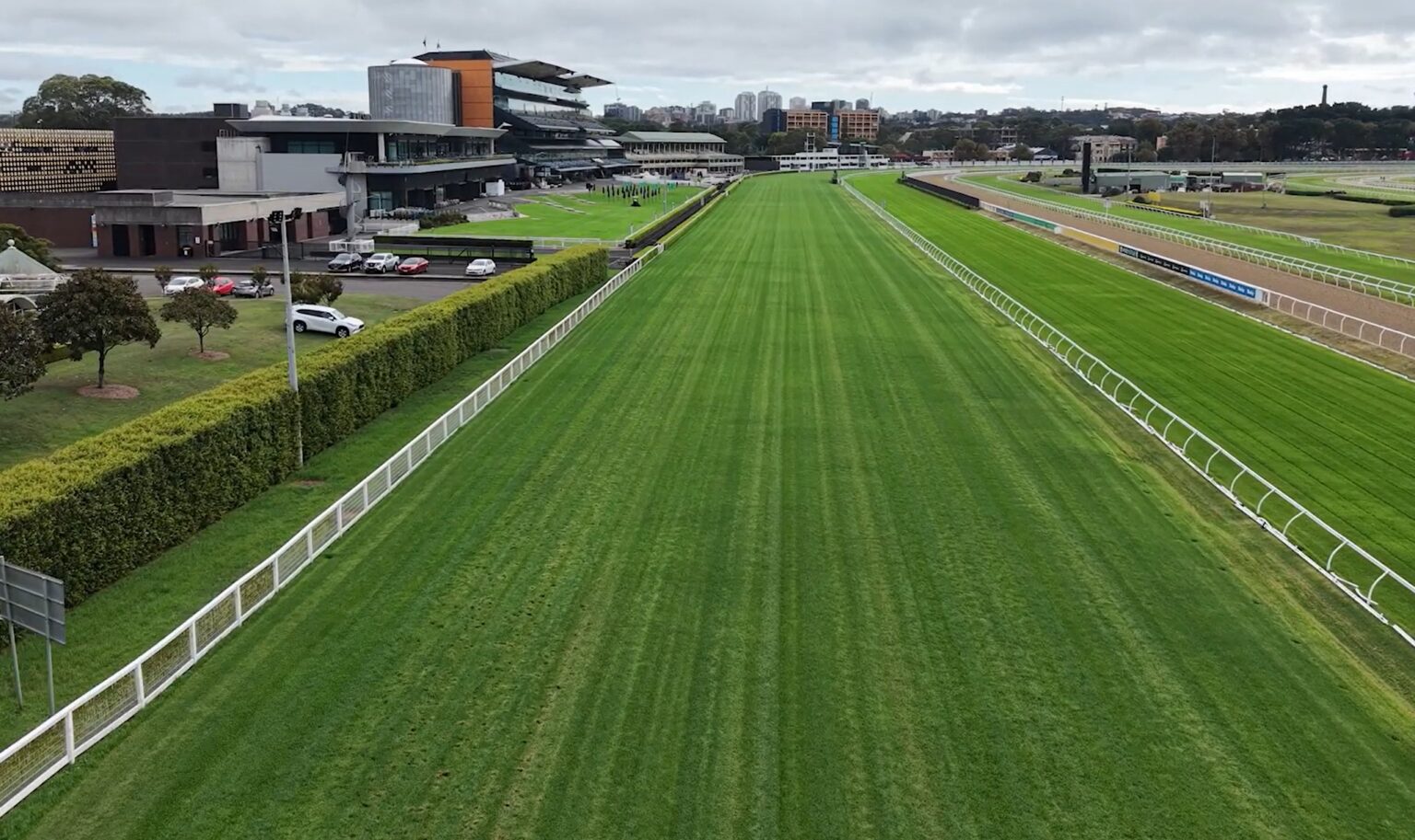 Randwick preview and tips: Verry Elleegant Stakes day