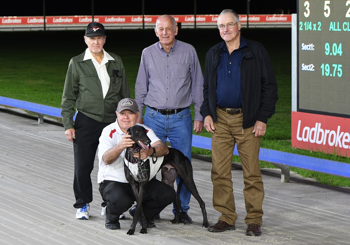Flying Amy Classic Looms For Grafton Cup Winner - Greyhound Recorder