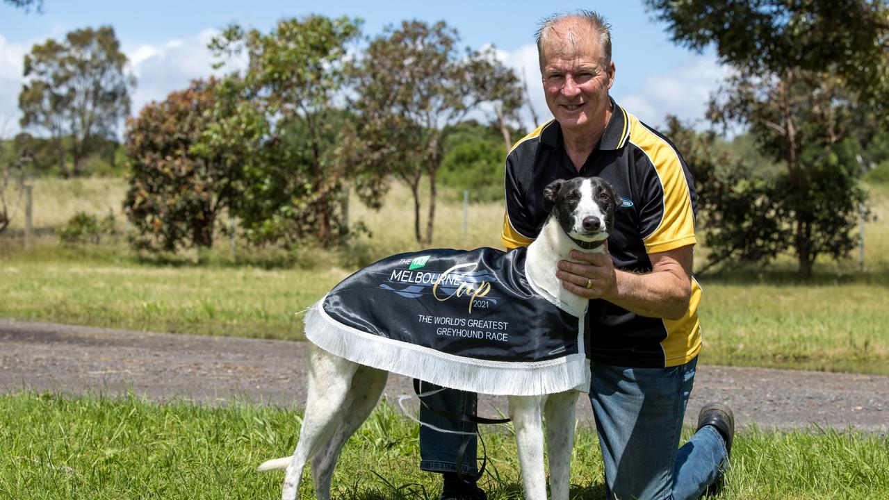 Melbourne Cup Champs Living The Life Of Luxury - Greyhound Recorder