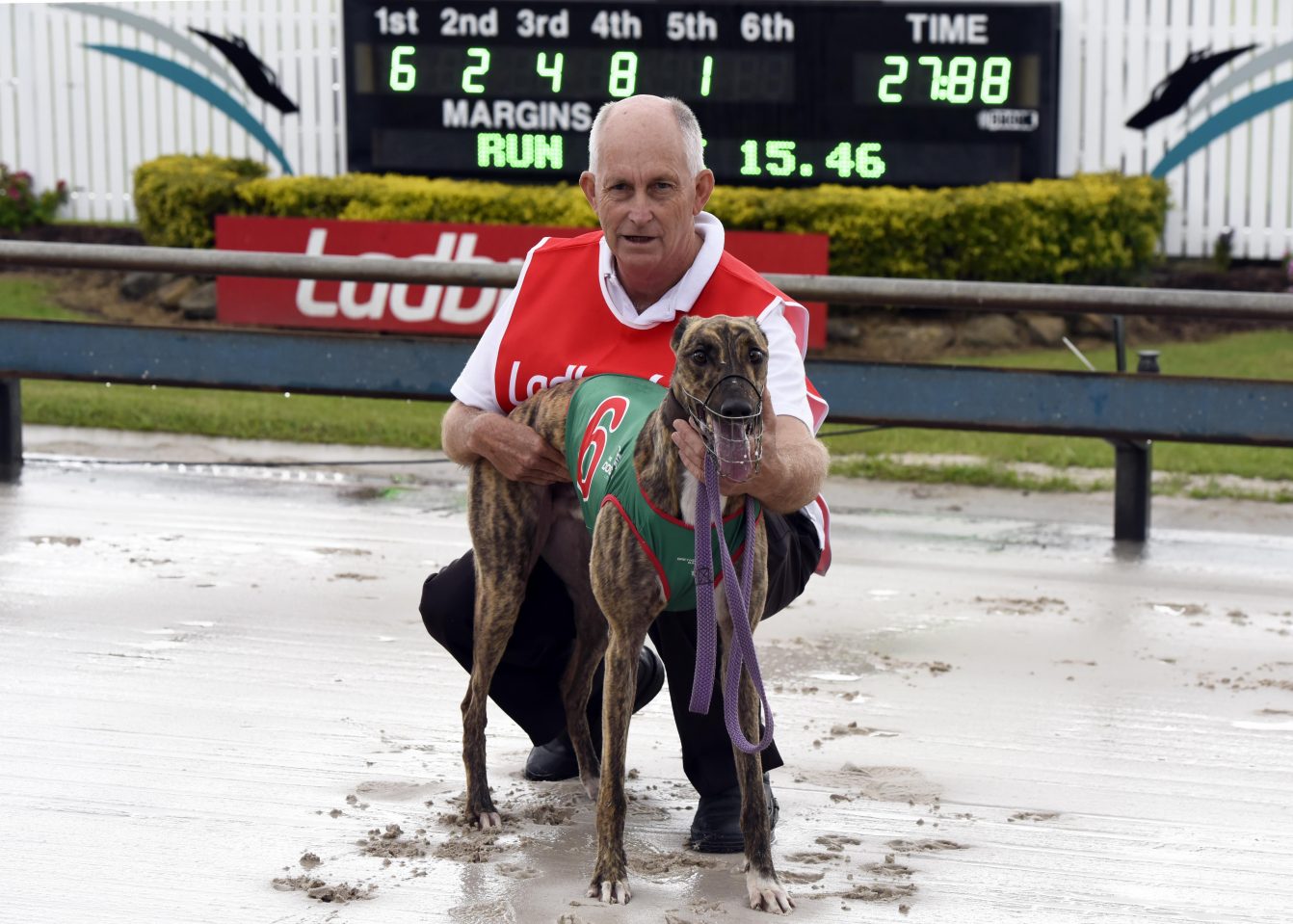 Near Record: Wilkes Pup Picture Perfect On Debut - Greyhound Recorder