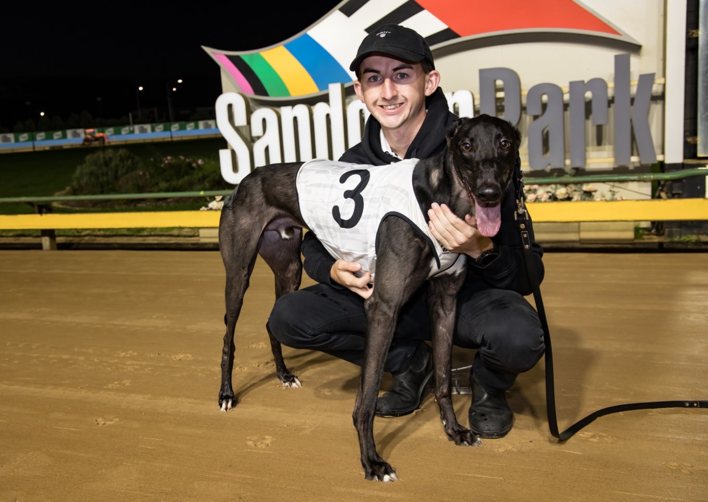 'Exceptional': Plaintiff Litter Gets Rave Reports - Greyhound Recorder