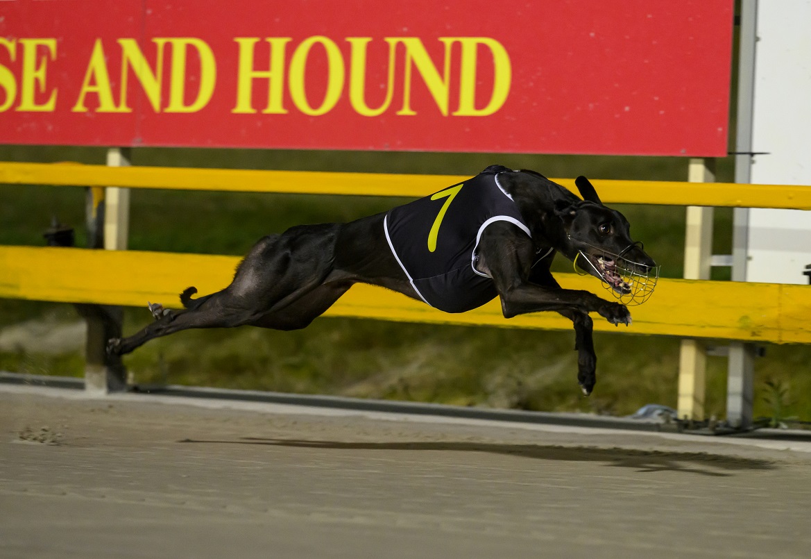 Nationals Loom Large For Catton's Staying Star