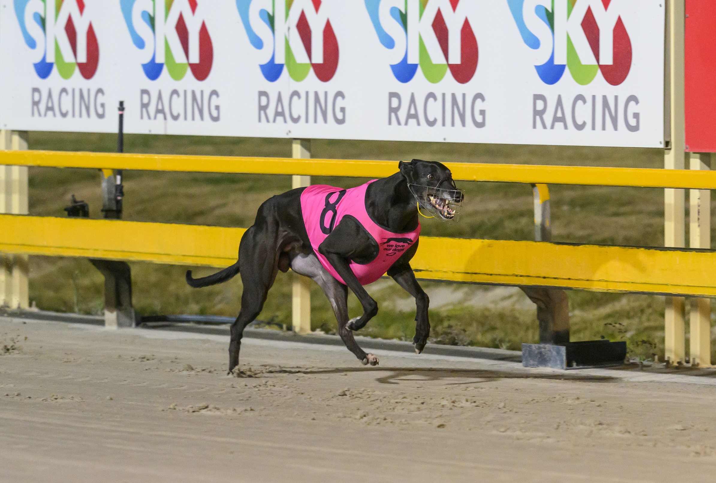 Queensland Carnival Shows How It's Done