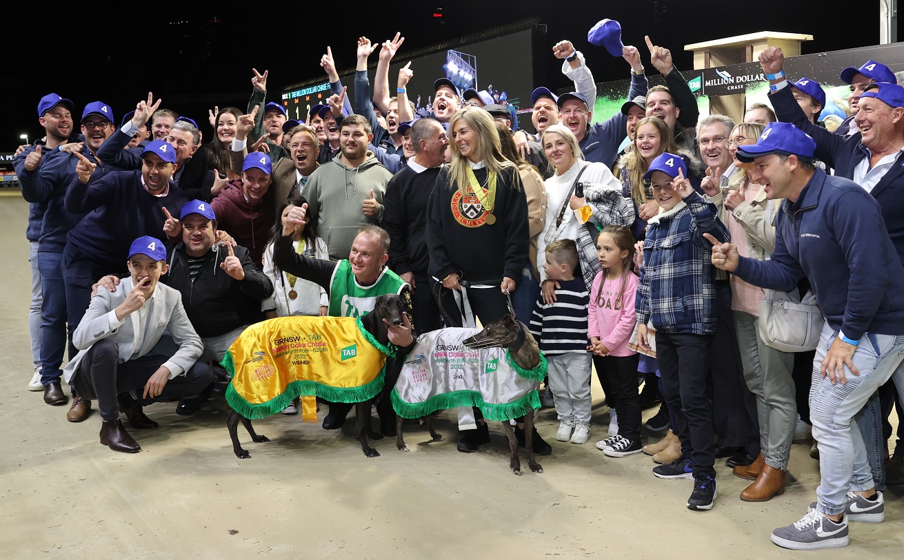 Roadmap To Million Dollar Chase Glory Revealed - Greyhound Recorder