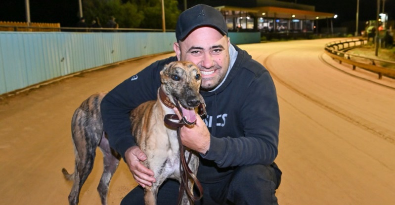 $3 Fav Shock Scratching From Southern Stars - Greyhound Recorder