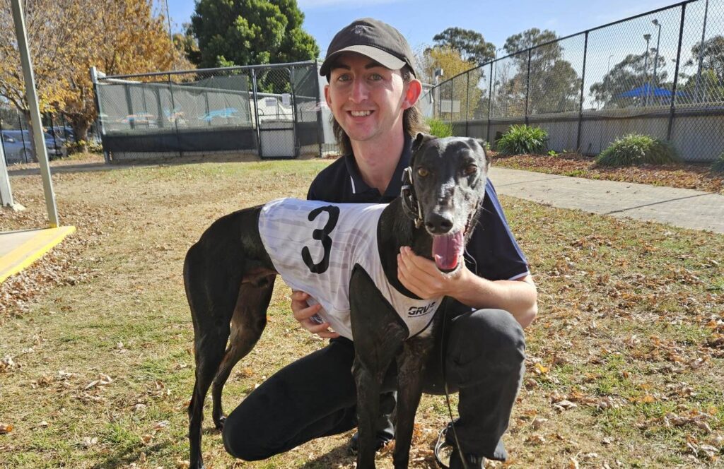 WATCH: Postman Pat Arrives In Time For Stud - Greyhound Recorder