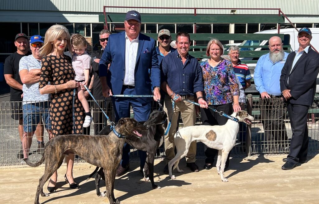 Trainers Welcome 'Shock' Lithgow TAB Racing Return - Greyhound Recorder