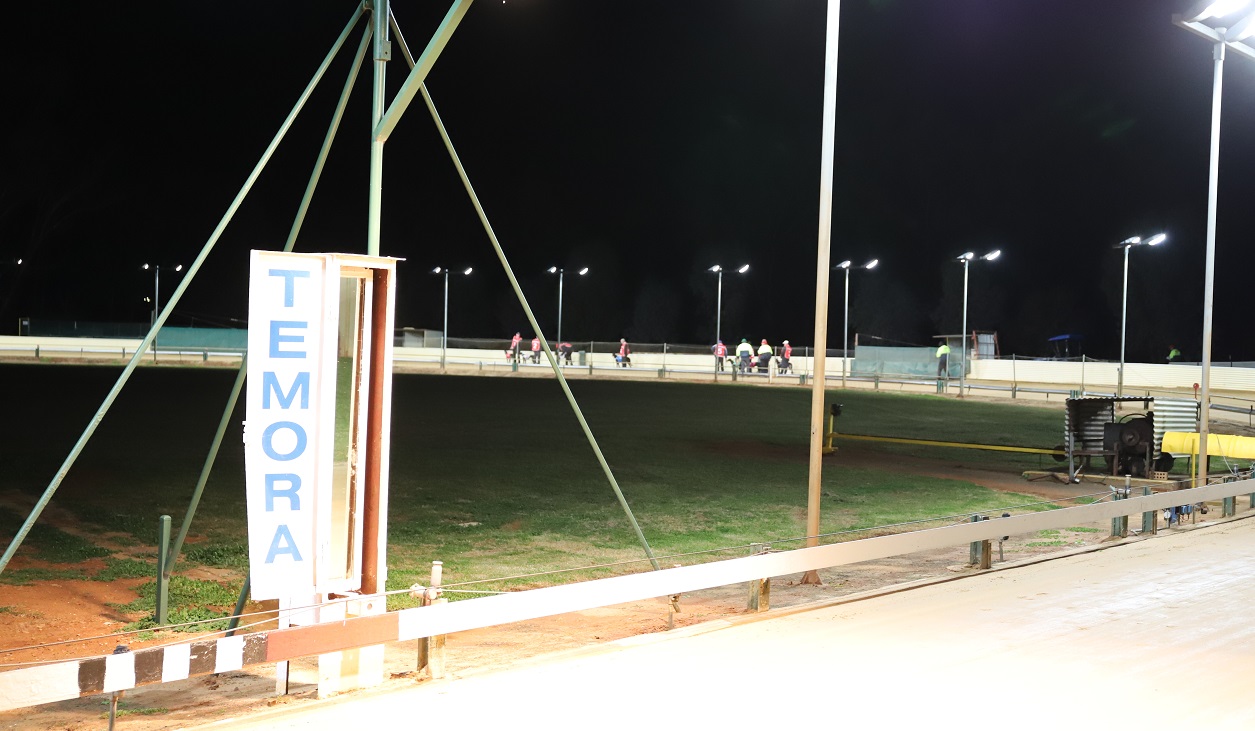 The Sunday Afternoon 'Finish On' - Greyhound Recorder