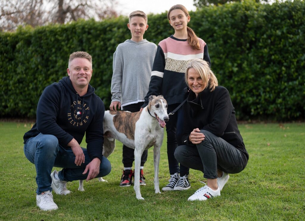 Big Fernando News Ahead Of Breeding Season - Greyhound Recorder