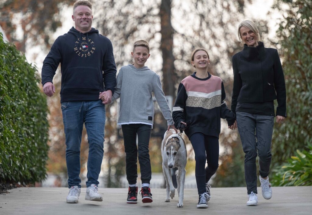 Major Stud Career Update For Fernando Bale - Greyhound Recorder