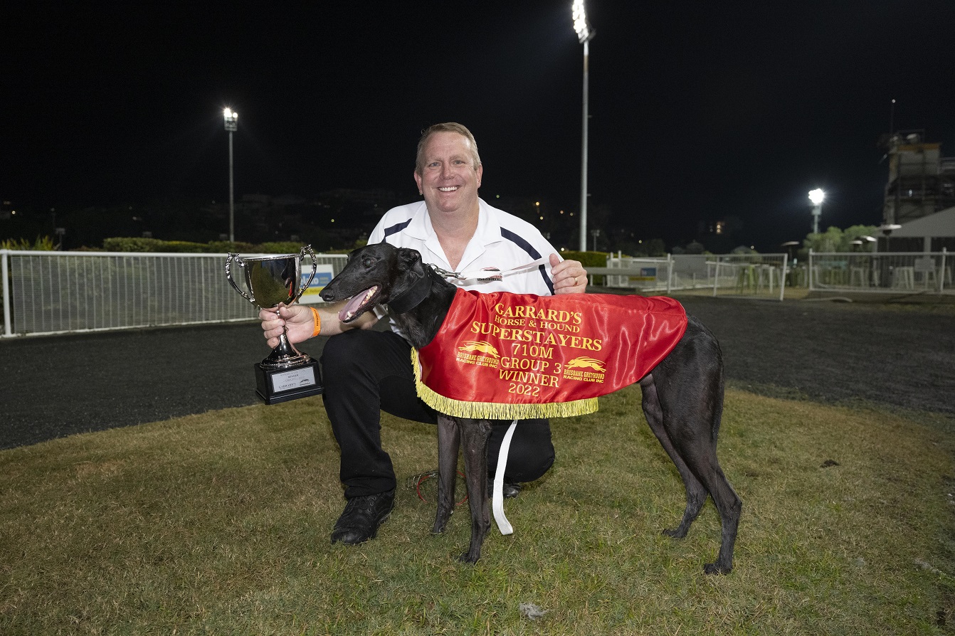 Fred Rocks To Group 3 Super Stayers Success - Greyhound Recorder