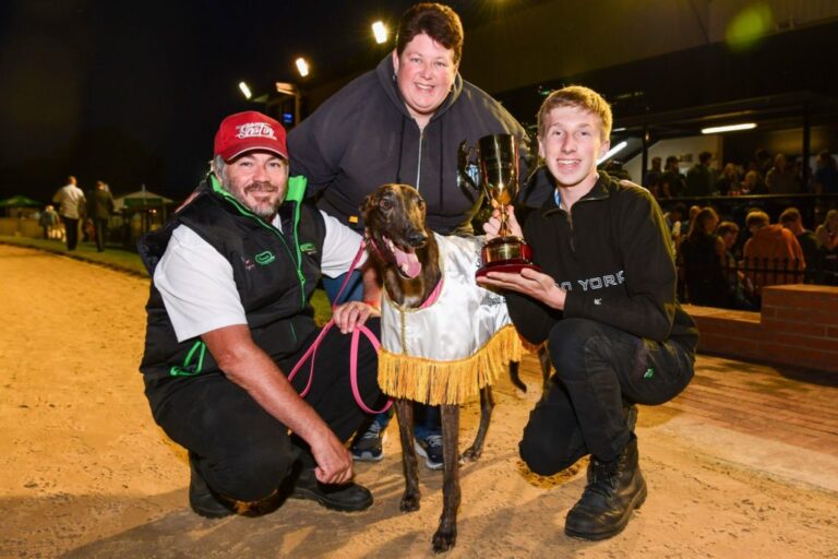 Bale Brothers Christo, Jarick On Way To Top - Greyhound Recorder