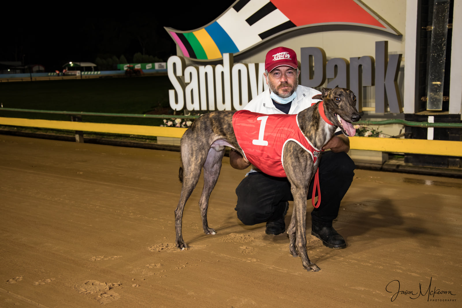 Delbridge Defending Sale Distance Title - Greyhound Recorder