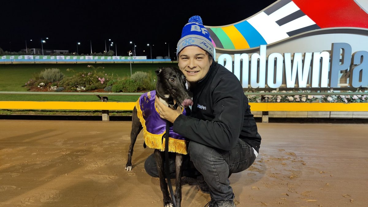 Time Called On Tiggerlong Tonk's Glittering Career - Greyhound Recorder