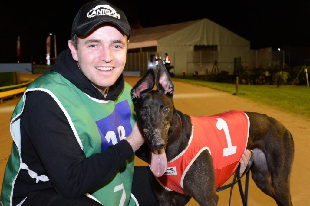 Oaks, Derby Winners To Take Aim At G1 Targets - Greyhound Recorder