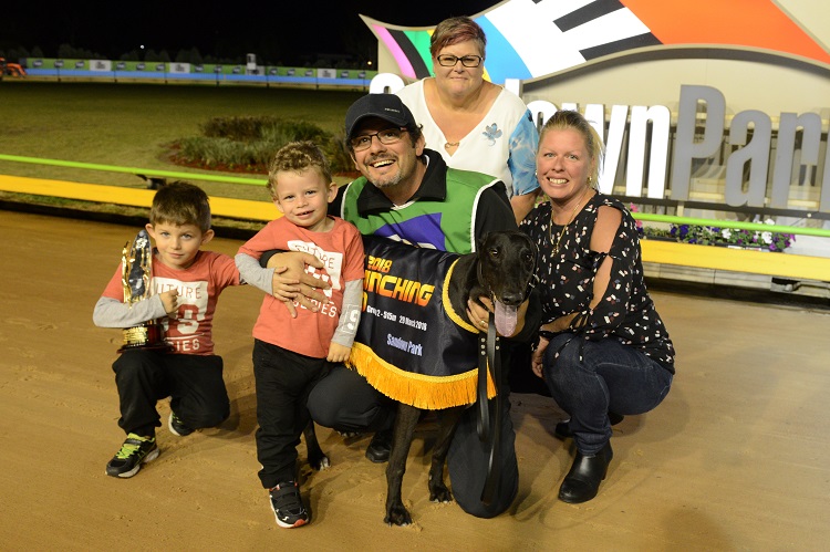 Beast Unleashed Begins Stud Duties - Greyhound Recorder