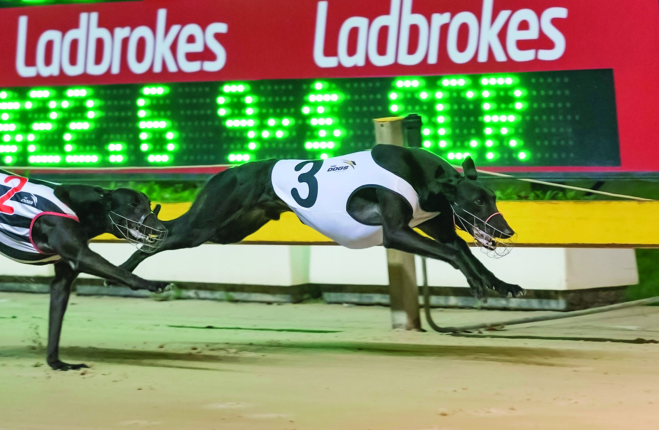 Gosford Record Breaker To Make Racing Debut