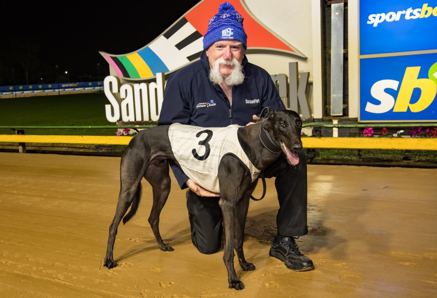 Cut Foot Rules Like Wildfire Out Of Bold Trease - Greyhound Recorder
