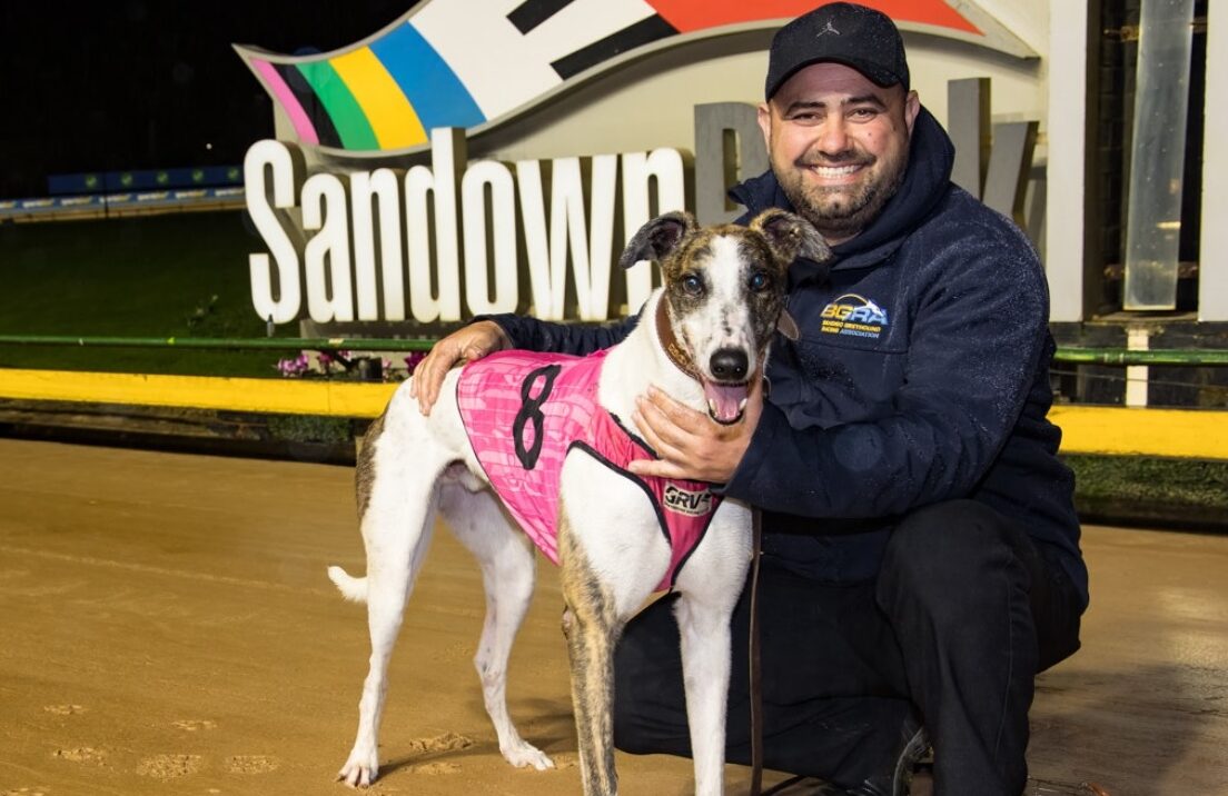 Azzopardi Charging Towards Another Black Top - Greyhound Recorder