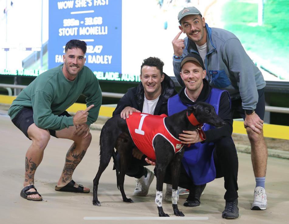 Tex 'Crowing' After Kicking Angle Park Goal - Greyhound Recorder