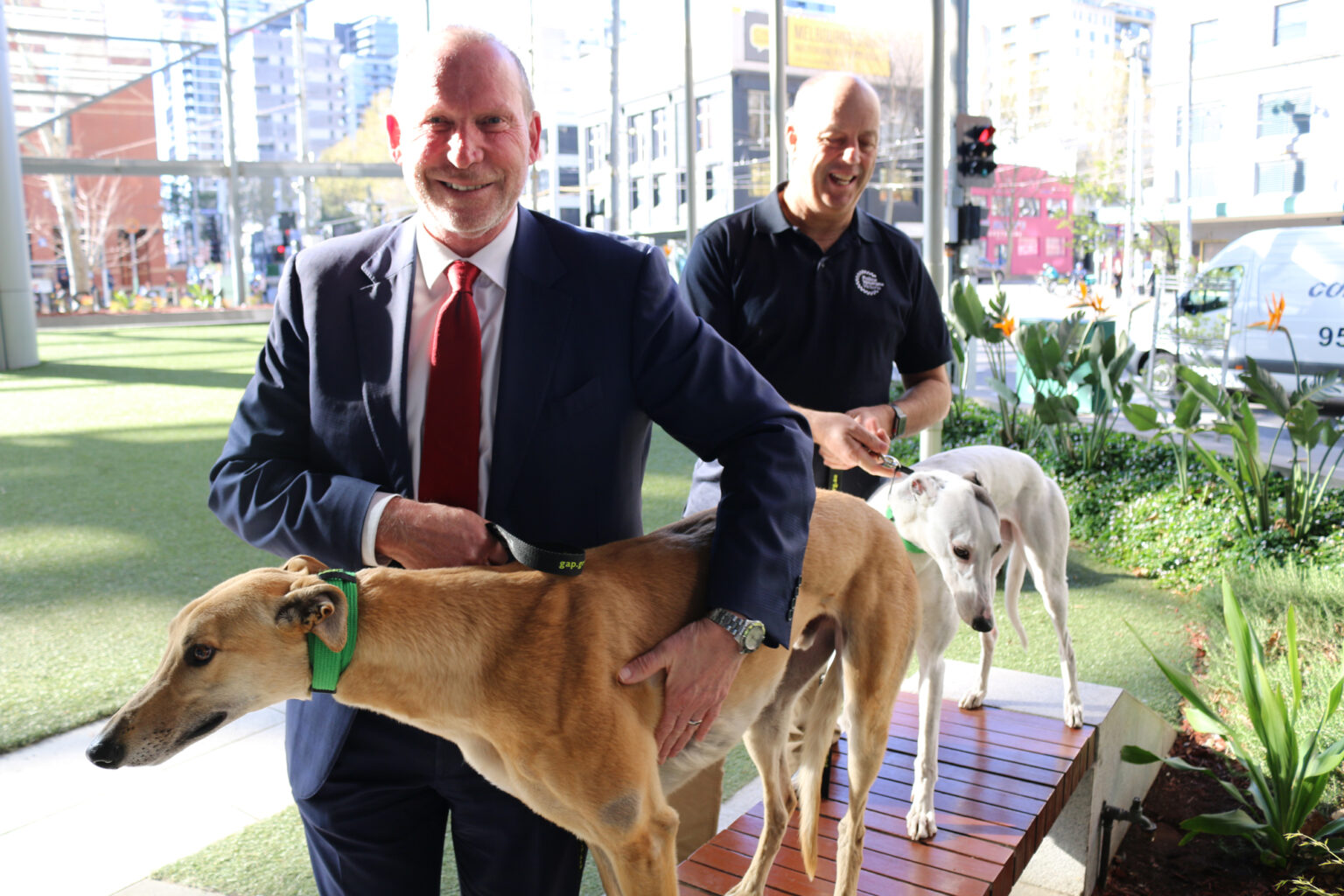 Greyhounds To Enrich The Lives Of Police Veterans - Greyhound Recorder