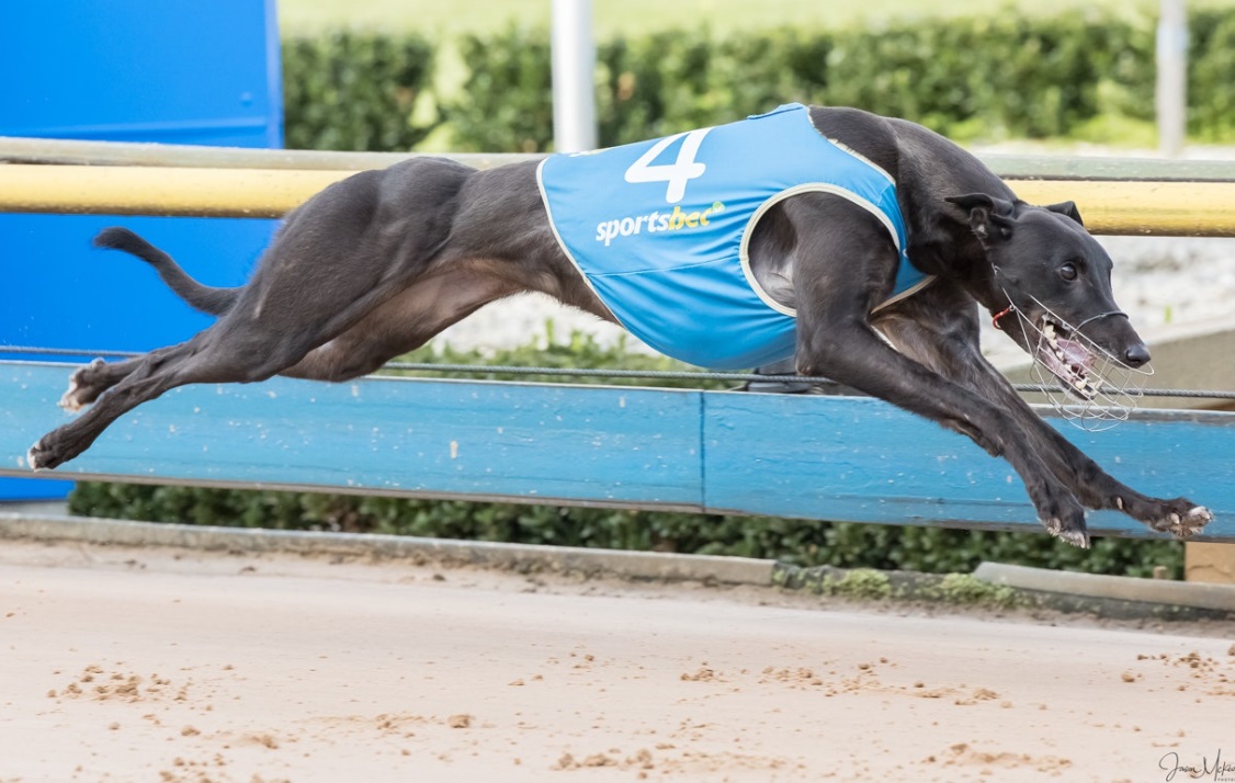 Gifted Whiskey Riot Youngster Mackenna Sold