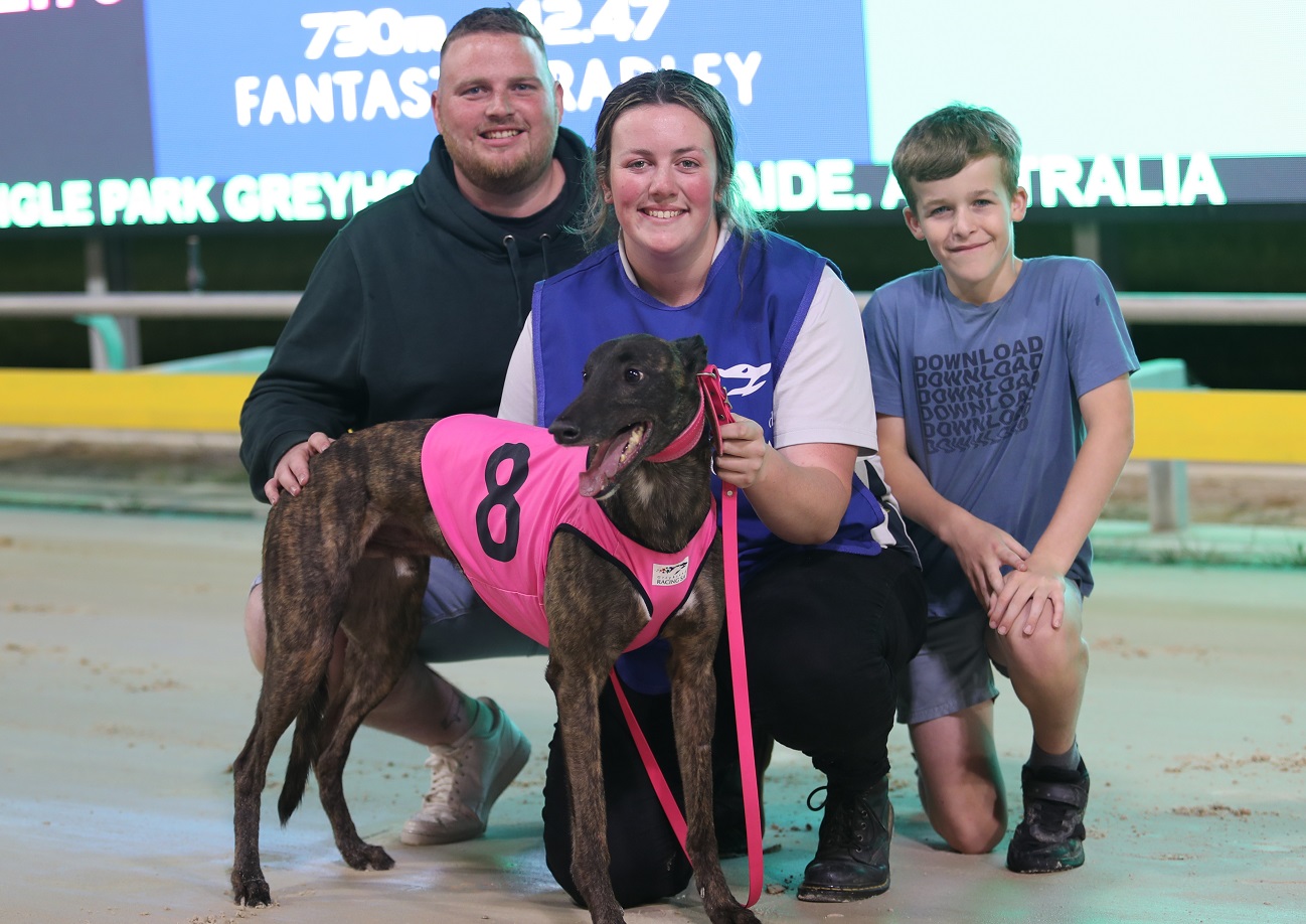 'What A Thrill': Ashlee's Adelaide Cup Dream - Greyhound Recorder