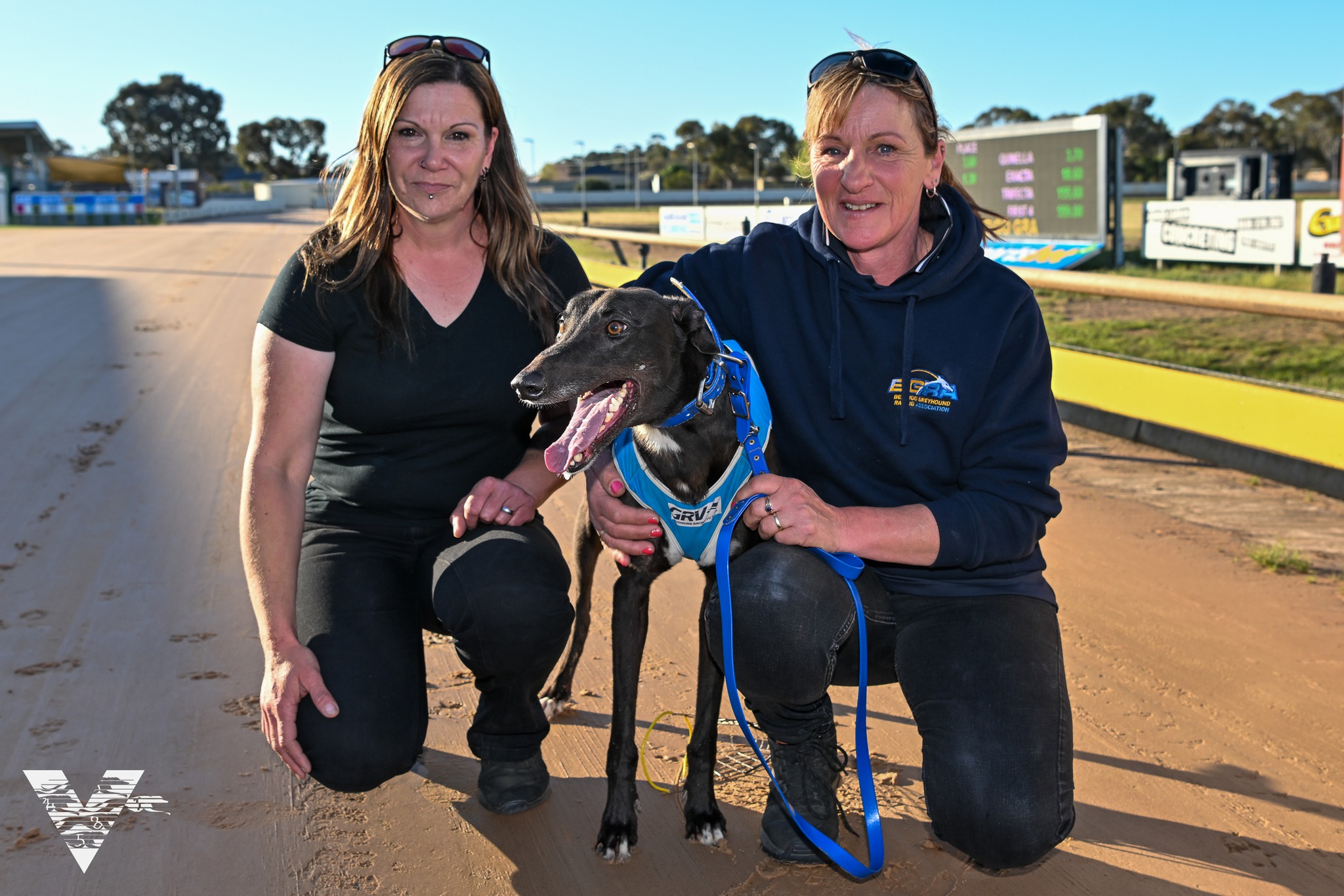 Carr Eyes "Surprise" Bendigo Cup Heist