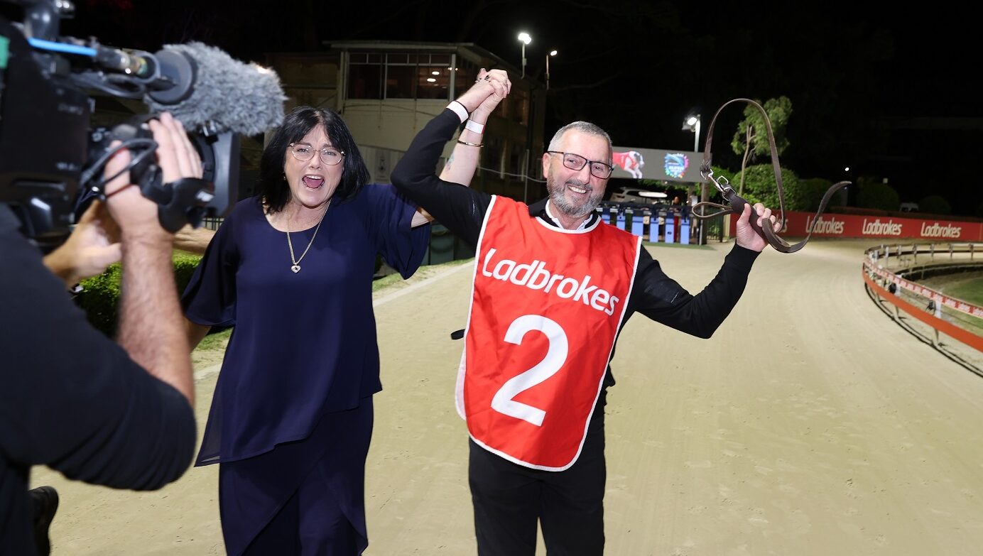 How Last Year's MDC Made Its Way To The Cox Plate - Greyhound Recorder