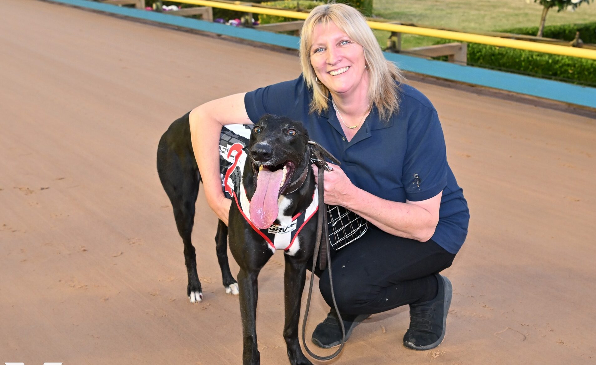 'Best In 40 Years': Faheys Hume Cup Raid On Song - Greyhound Recorder