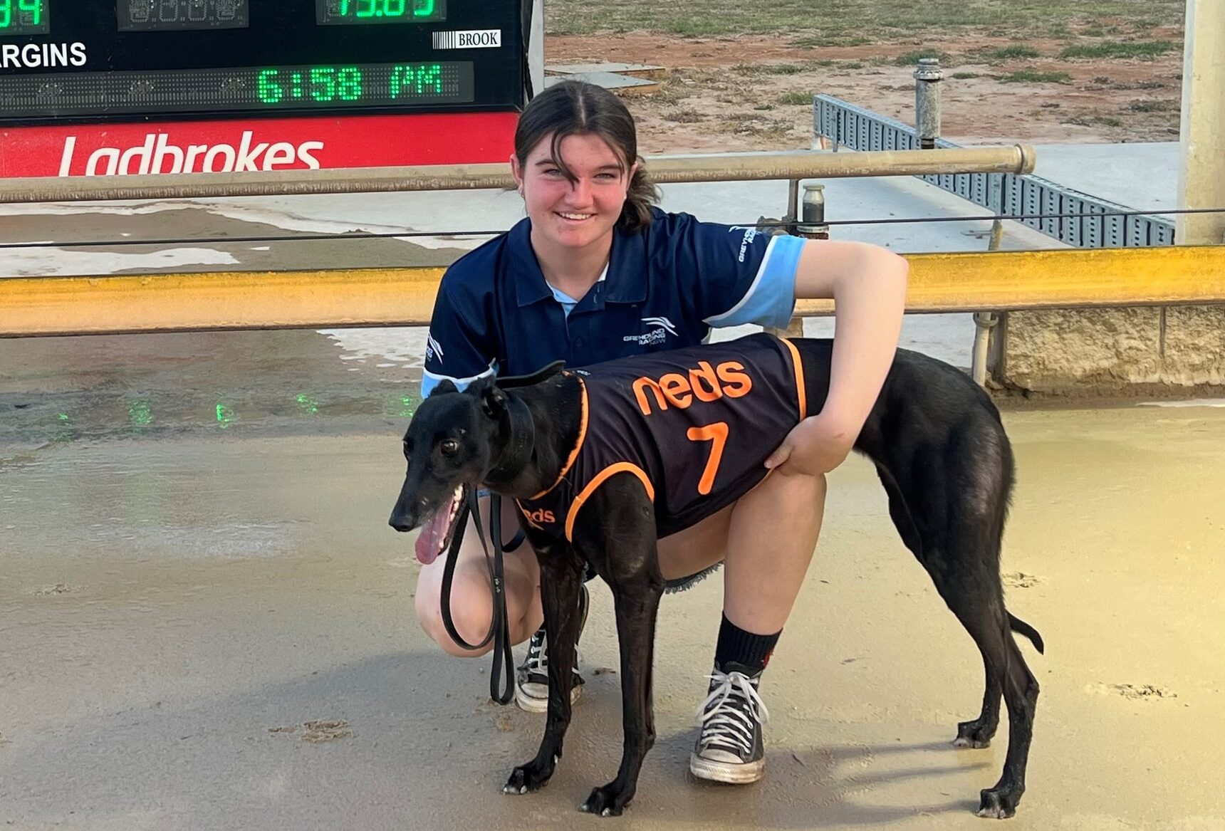 Fusion Flower Set To Bloom In Bryan Maxwell - Greyhound Recorder