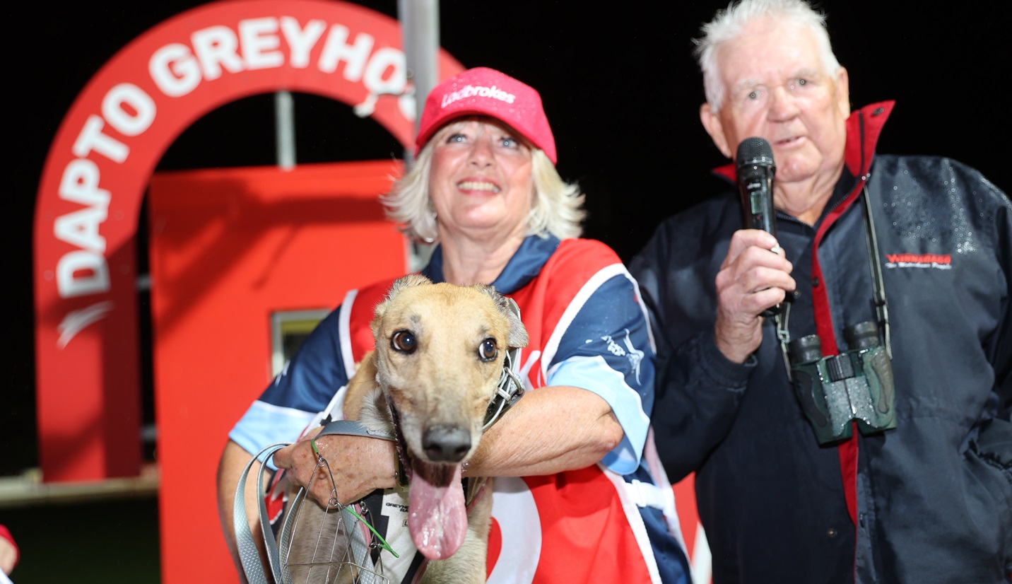 Age No Barrier For Father Rick In Feature Romp - Greyhound Recorder