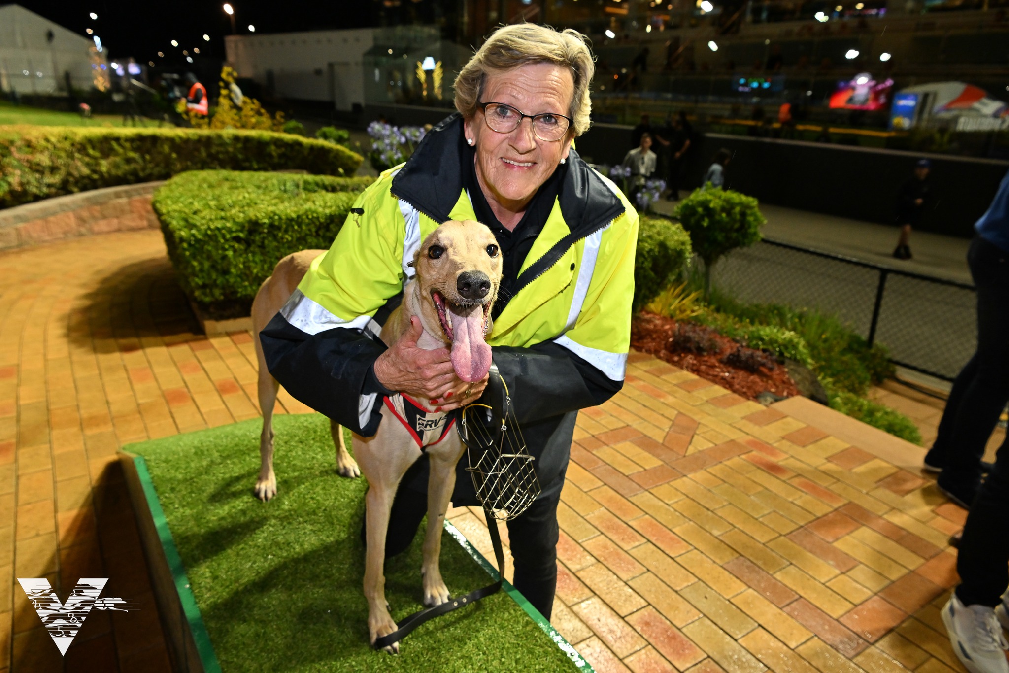 'Miracle': Big Energy Goes Out With A Bang - Greyhound Recorder